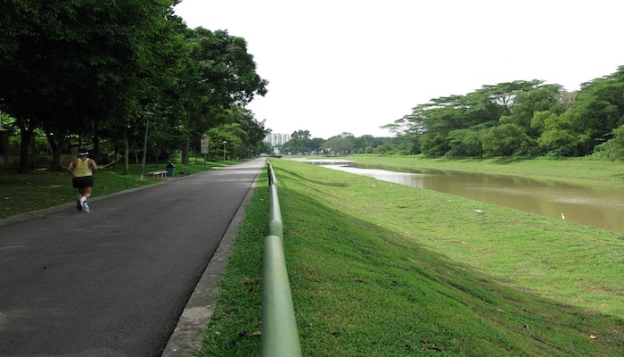 Pandan River Trail - Great Runs