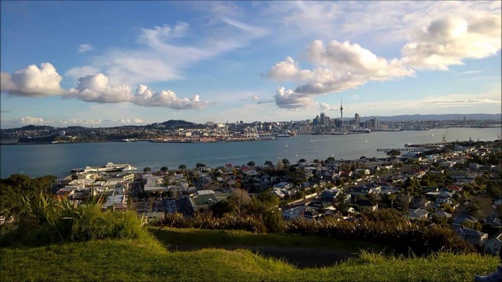 Mt. Victoria: Run to Lookout & Lookout Walkway - Great Runs
