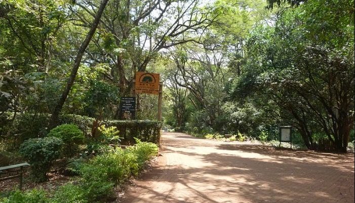 Nairobi Arboretum - Great Runs