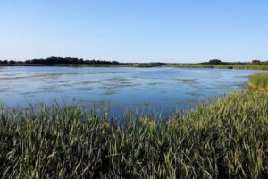 Little Cataraqui Creek Conservation Area - Great Runs