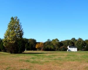Brecknock County Park - Great Runs