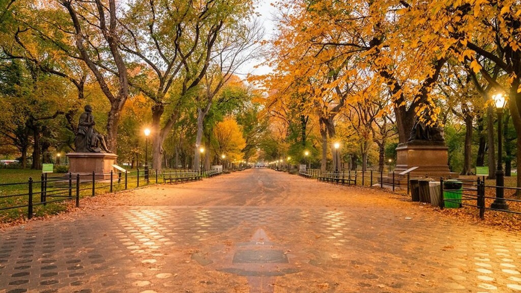 The 10 Best Fall Foliage Runs in New York City - Great Runs