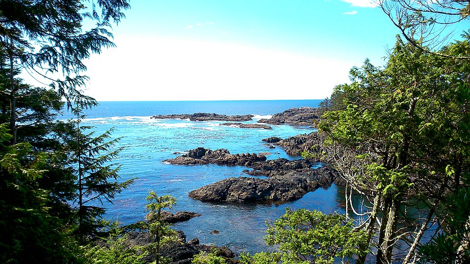 Ucluelet: Wild Pacific Trail - Great Runs